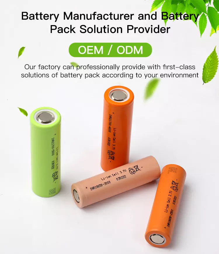 Powering Your Business with Sunpower Custom Lithium Ion Battery Packs ...